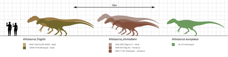 Allosaurus: All About Dinosaurs